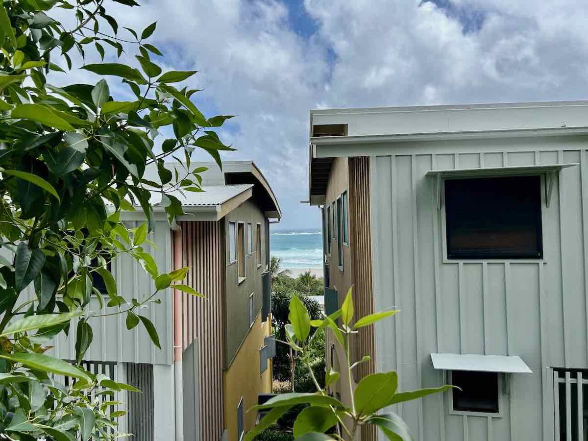 Dog-Friendly North Stradbroke Island: Visiting with a Dog - Travelnuity