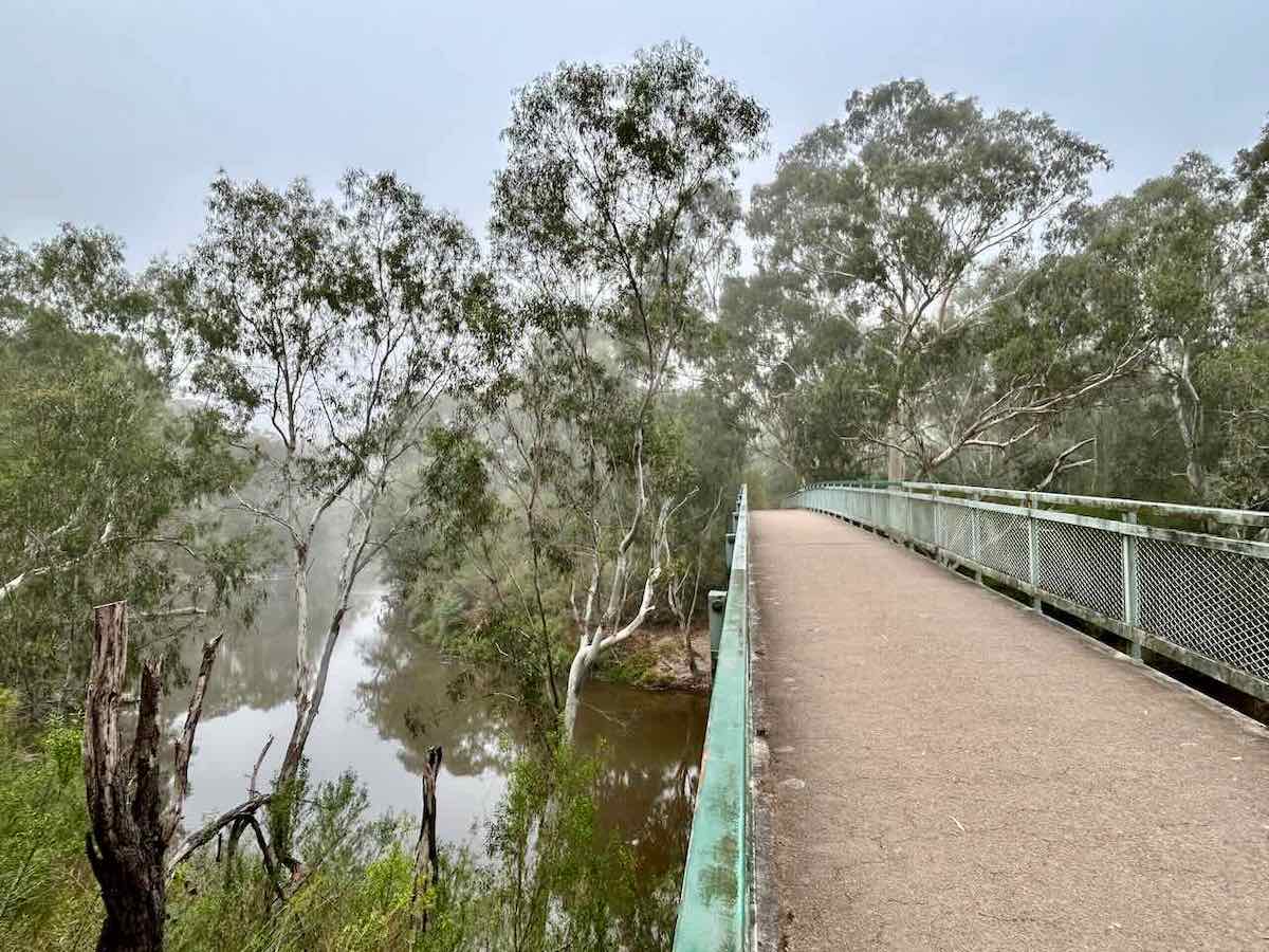 12 Top Dog-Friendly Walks in Melbourne, VIC - Travelnuity