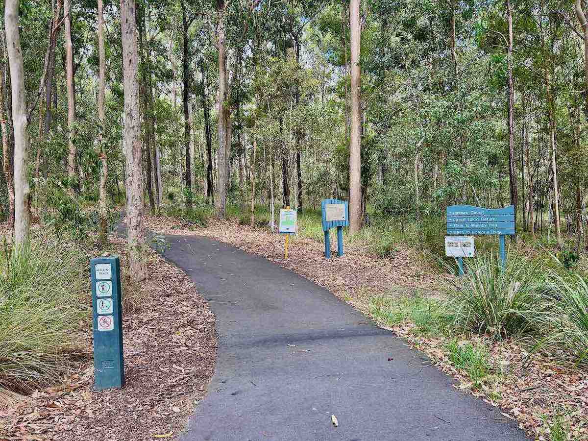 12 Top Dog-Friendly Walks & Hikes in Brisbane - Travelnuity
